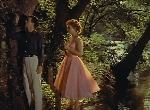 Picnic ( 1955 ) - Silver Scenes - A Blog for Classic Film Lovers