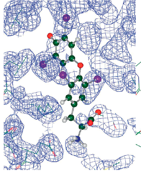 The Curious Wavefunction: Protein-ligand crystal structures: WYSI(N)WYG