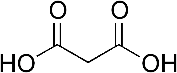 Asam Dwifungsi (Asam Dikarboksilat) - Alif MH