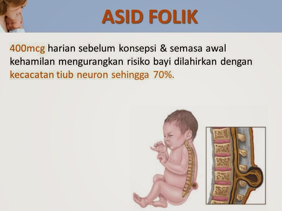 Supplement Sihat Semulajadi: Asid Folik untuk ibu mengandung