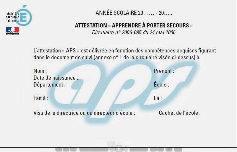 CDI COLLEGE SAINT-DOMINIQUE VICHY: A Saint-Dominique, les élèves de CM2 ...