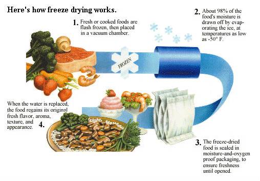 10 Methods Of Food Preservation With Example Biology Exams 4 U 10-methods-of-food-preservation-with-example-biology-exams-4-u