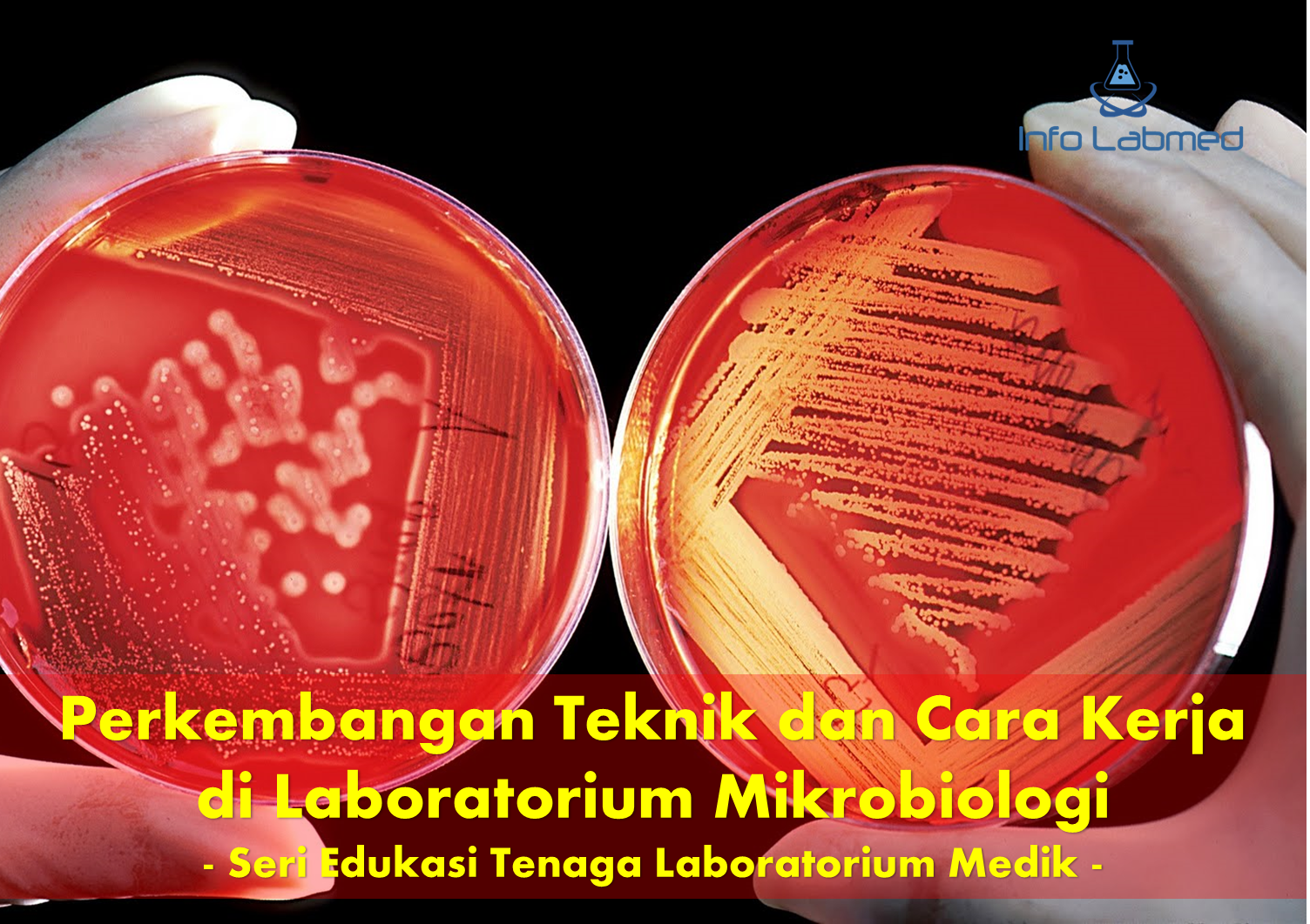 Perkembangan Teknik dan Cara Kerja di Laboratorium Mikrobiologi - Seri ...