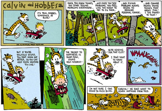 Graphic novel review: Calvin and Hobbes