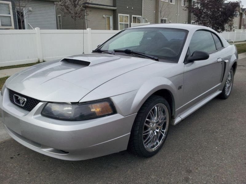 Ford Mustang Photos and Reviews