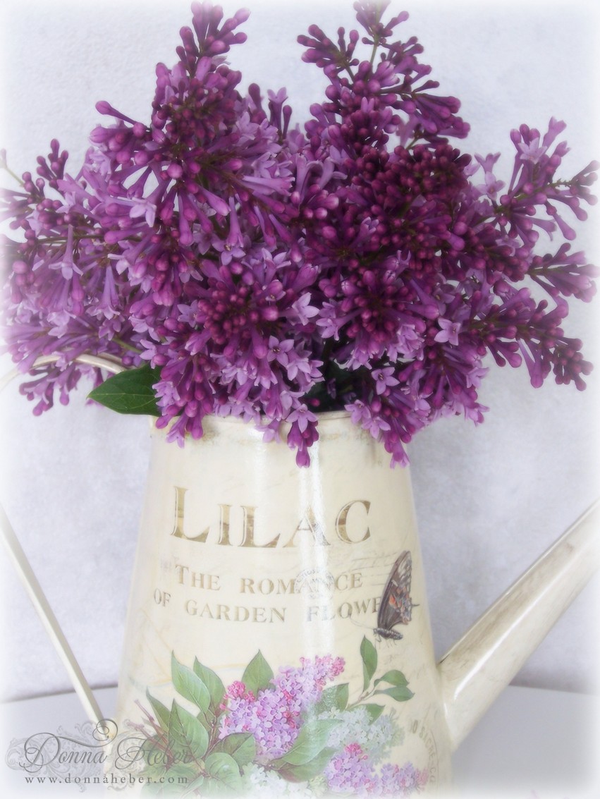 Donna's Designs: Pretty Lilacs