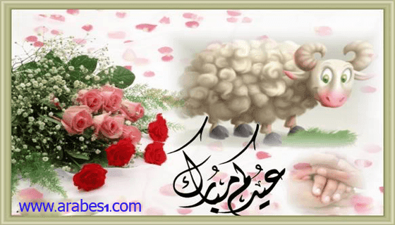 اجمل و احلى رسائل وادعية تهنئة بعيد الأضحى المبارك علوم و تقنيات