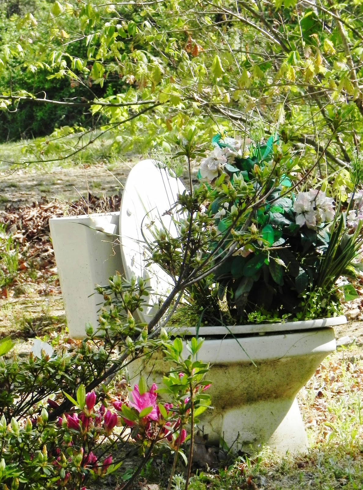 Let Your Light Shine: Potty Break