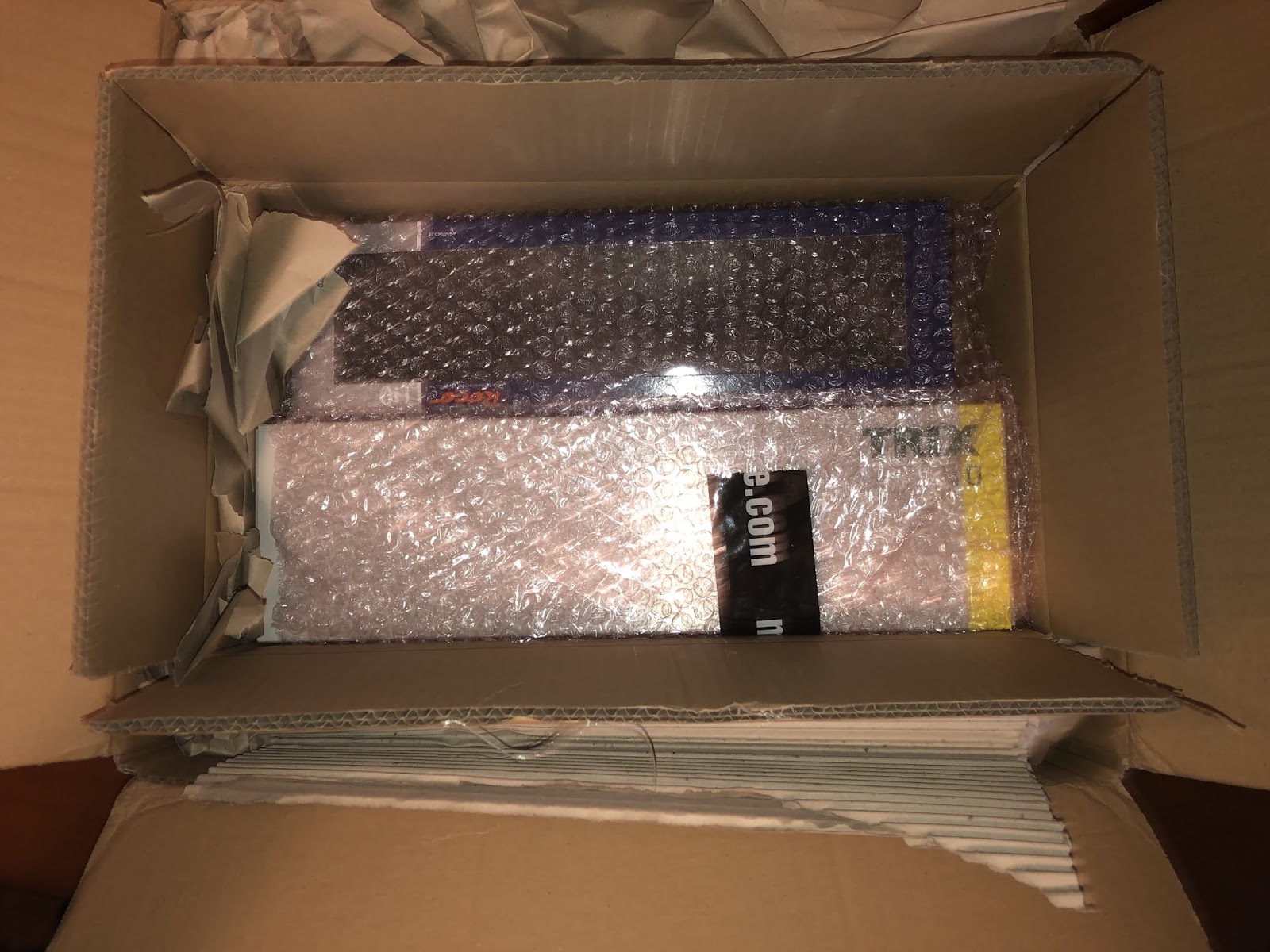 欧州鉄道模型とDCC 始めます！: TRIX BR08 1001号機 ROCO rh1116 railjet入線