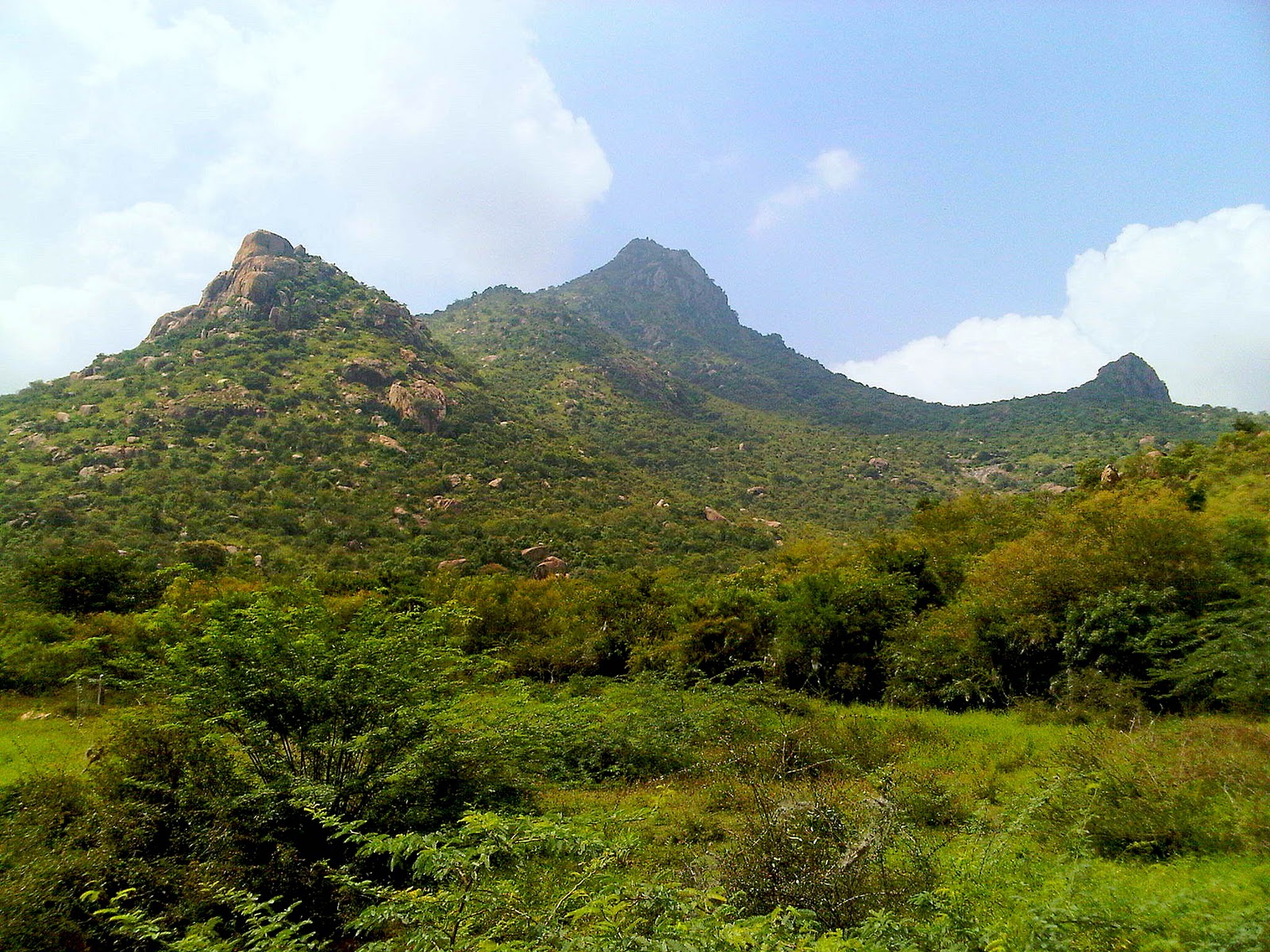 Sharan Sharma: Arunachala