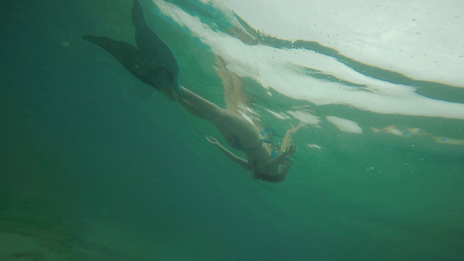 Jodywhat: The Mermaid Lifestyle & Beauty Blog: Swish Swimming ...