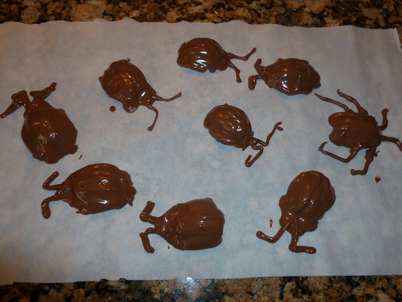 In the Kitchen with Harry Potter: Cockroach Clusters