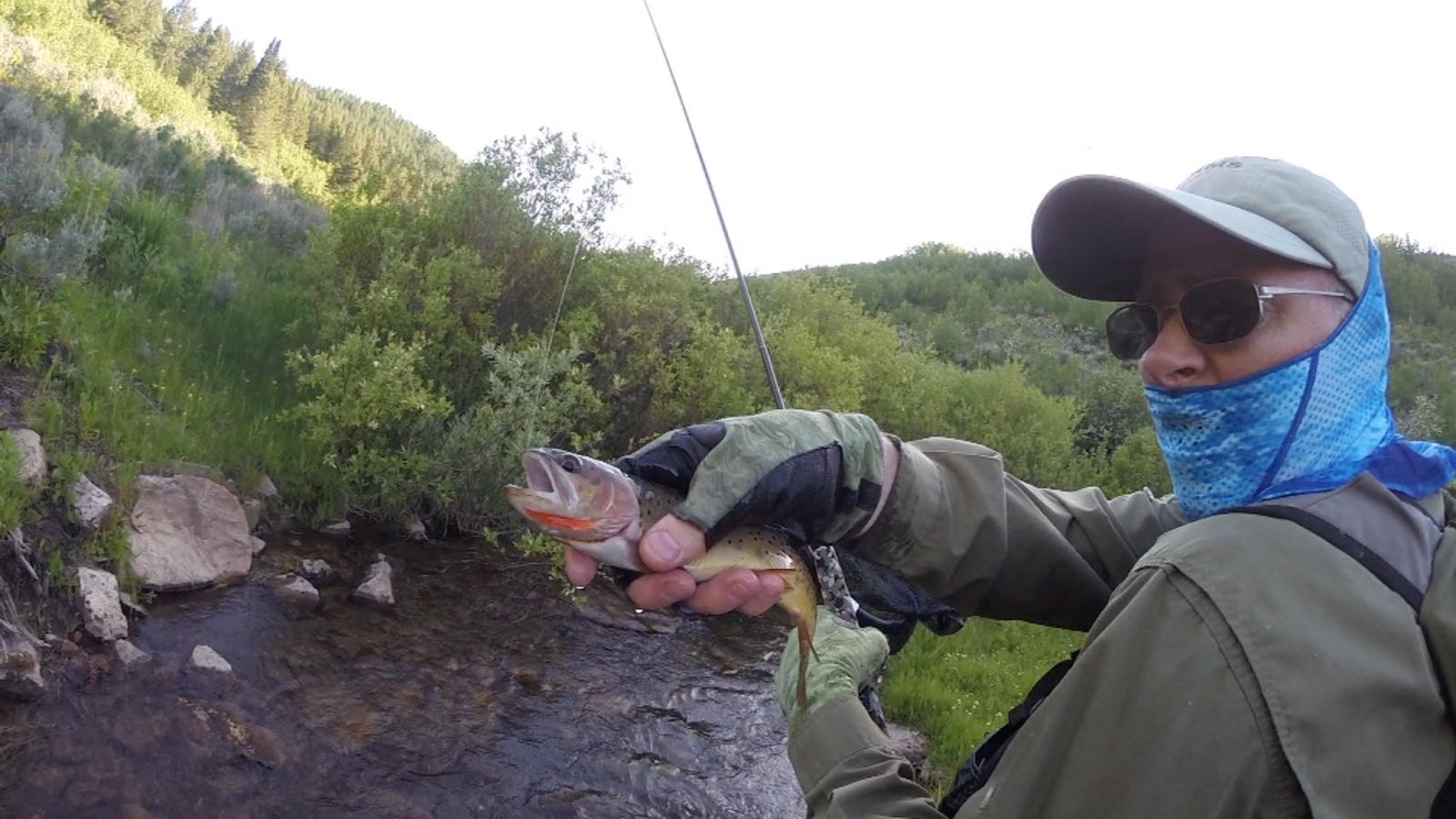 Teton Tenkara: Oni Rod, Type III -- review