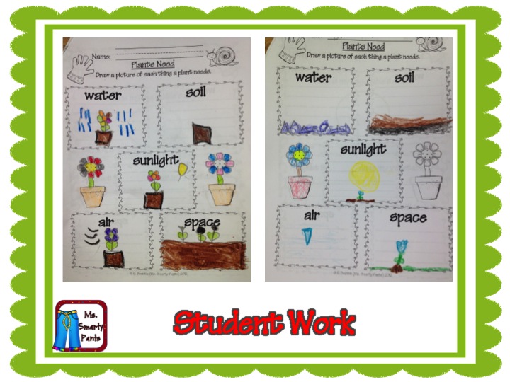 Ms. Smarty Pants : What Does Your Garden Grow?