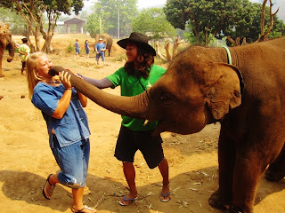 Wander: Bungee Jumping and a day with the Elephants!