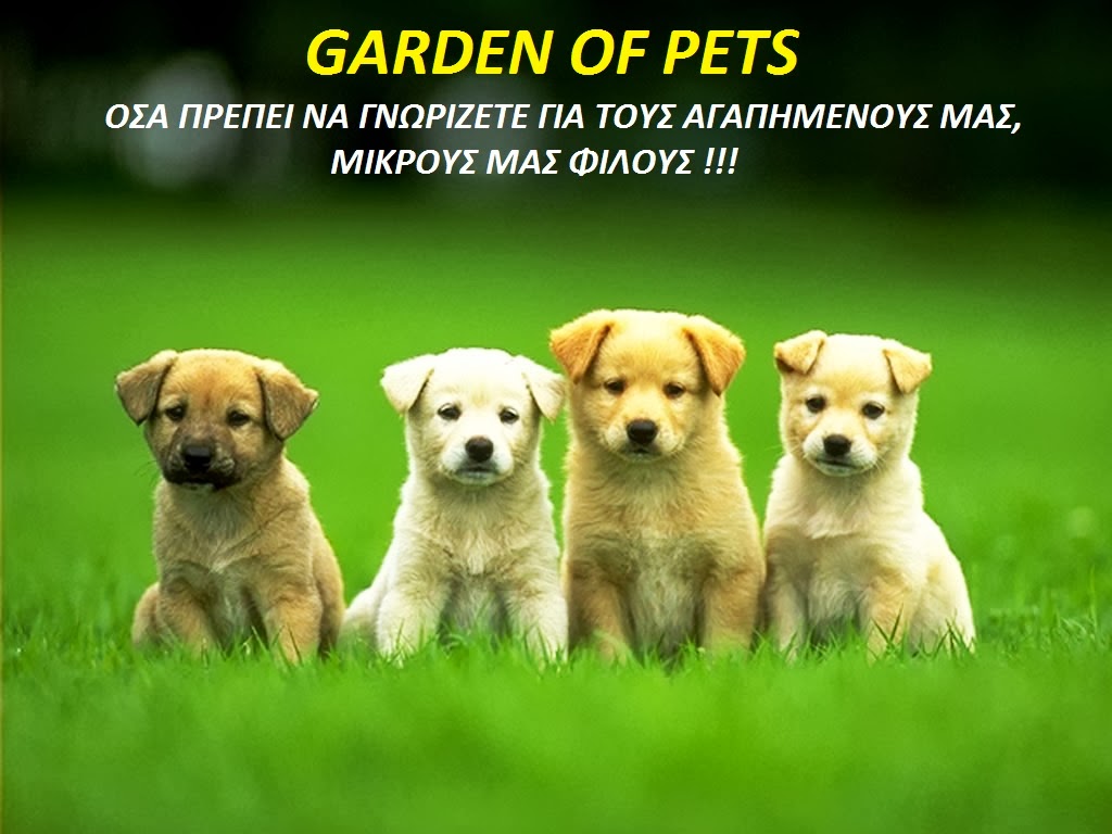 Garden Of Pets: Αναλυτικά οι νόμοι για τα ζώα!!