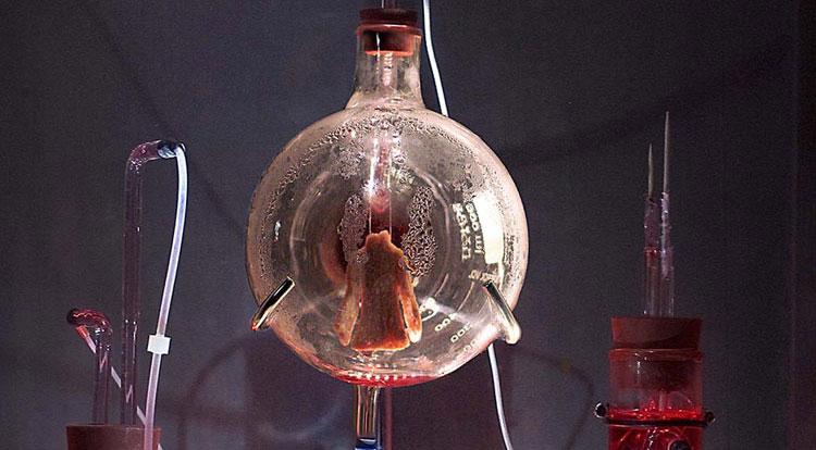 Holodeck: VICTIMLESS LEATHER