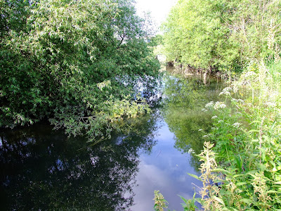Canoeing and Kayaking on the River Itchen Navigation