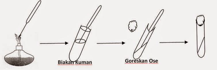 Artanta-Bagus: Uji Media Biokimia