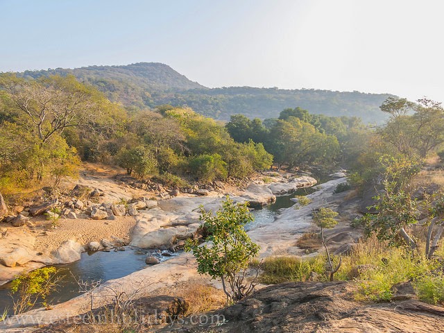 Trekking in Chinnar - Churlipatti Log House