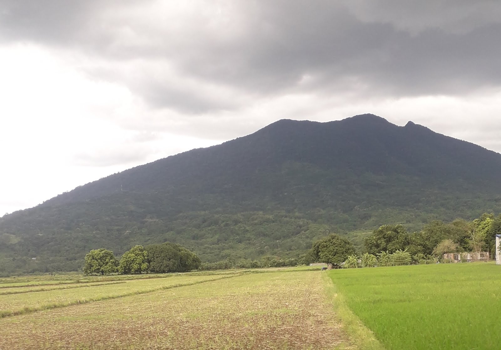 Bundok Arayat
