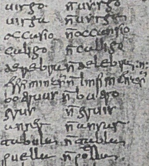 LATINIDADES: EL “APPENDIX PROBI”