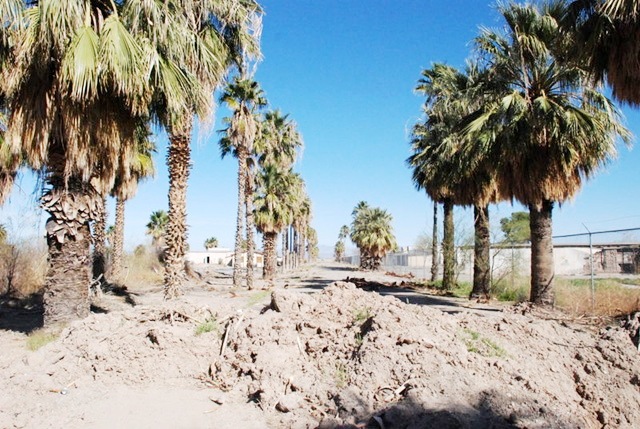 POSTON IN PICTURES: Today