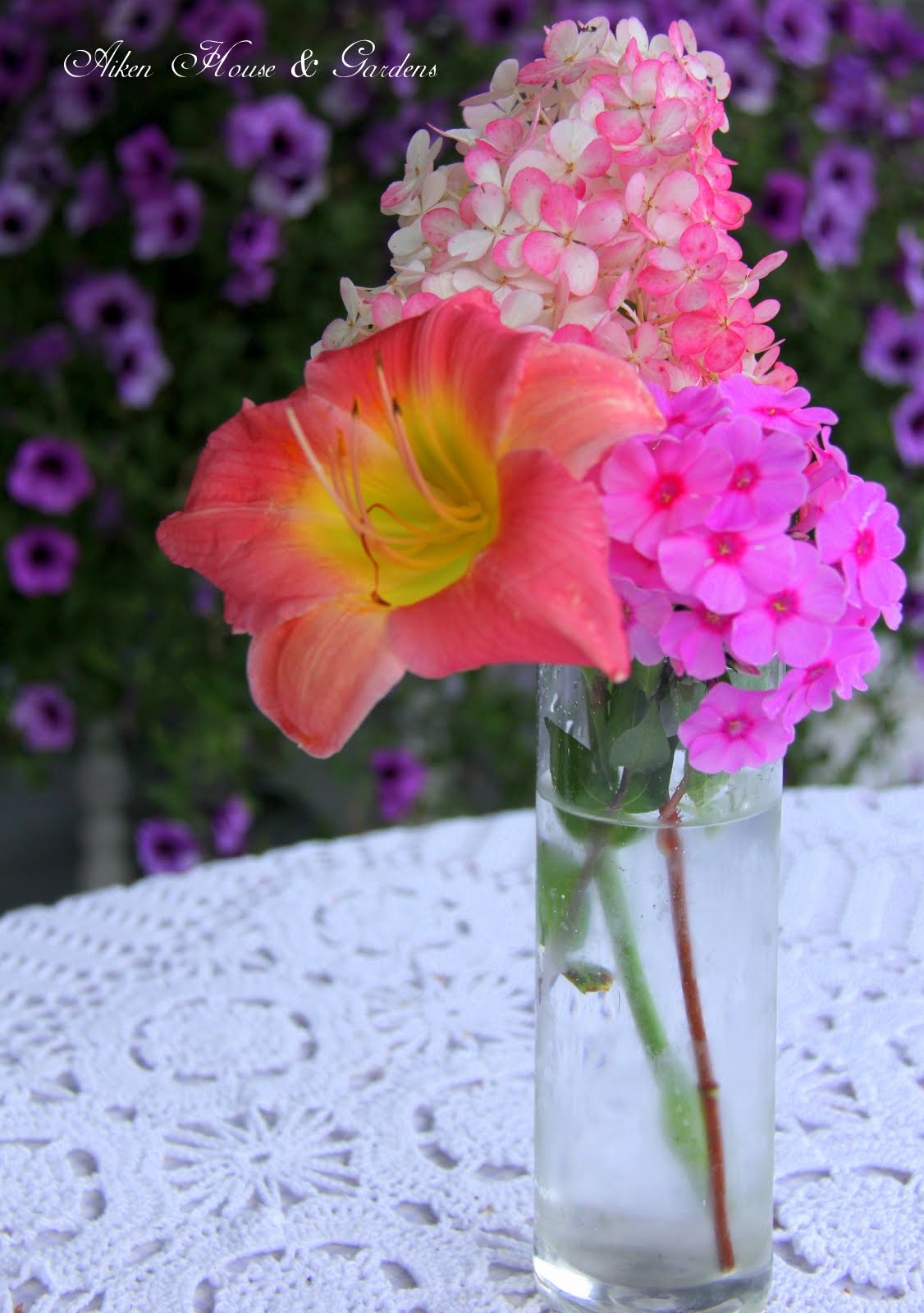 Aiken House & Gardens: Garden Snippets