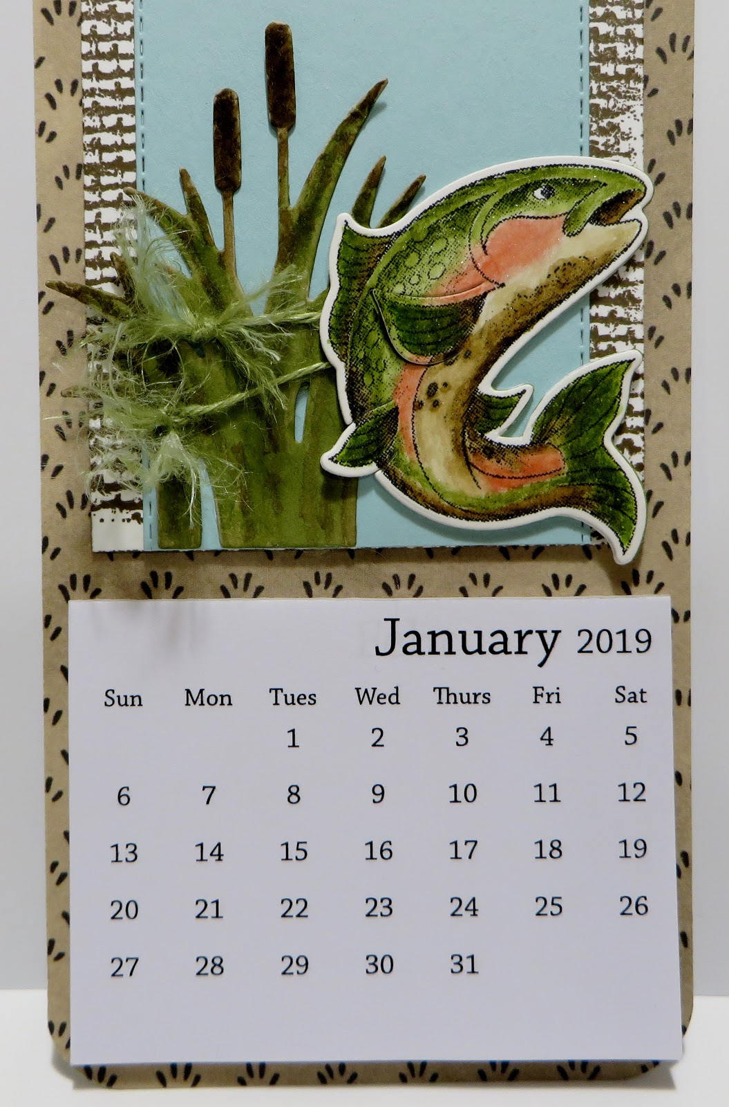 Lynn's Locker: Share What You Love, Best Catch, Catch of the Day ...