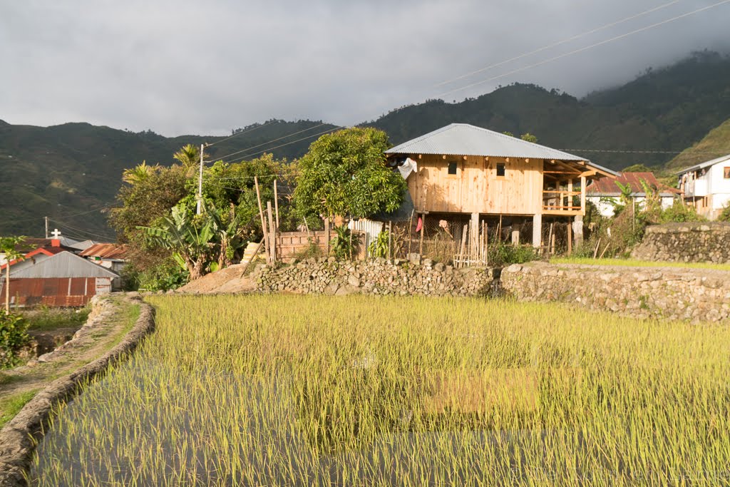 Philippines - jour 2 : Banaue - Buscalan - immersion au pays Kalinga