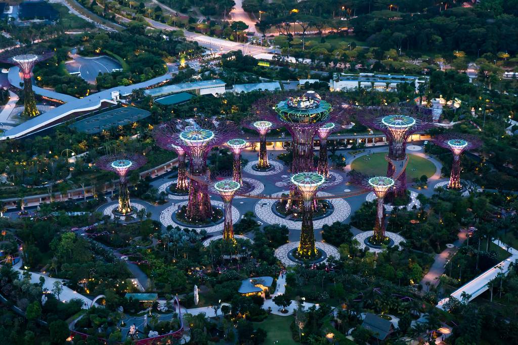 The Supertrees of Singapore ~ Kuriositas