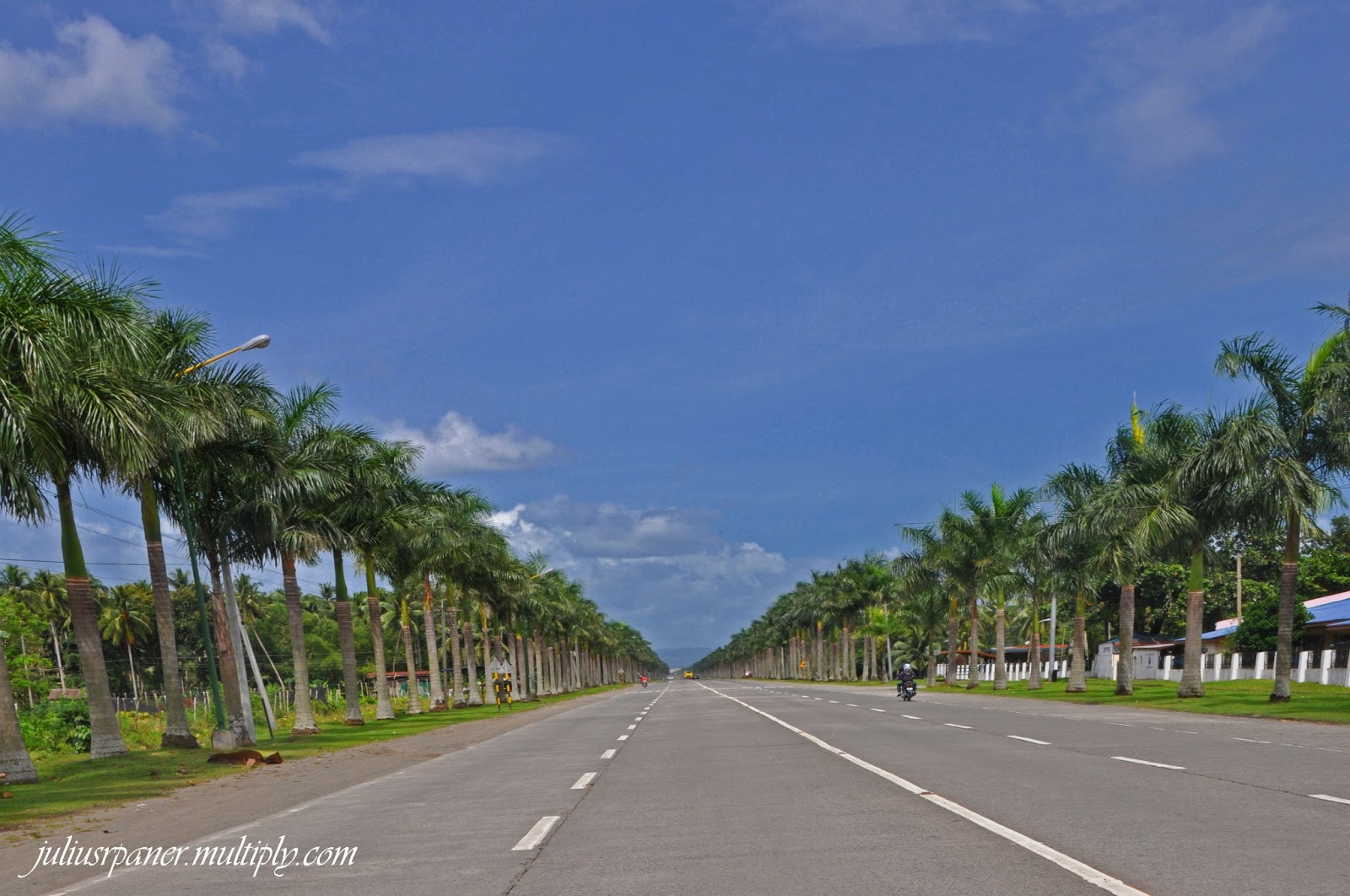 LOGSAC: Musikahan+ 2013 Tour at Tagum City
