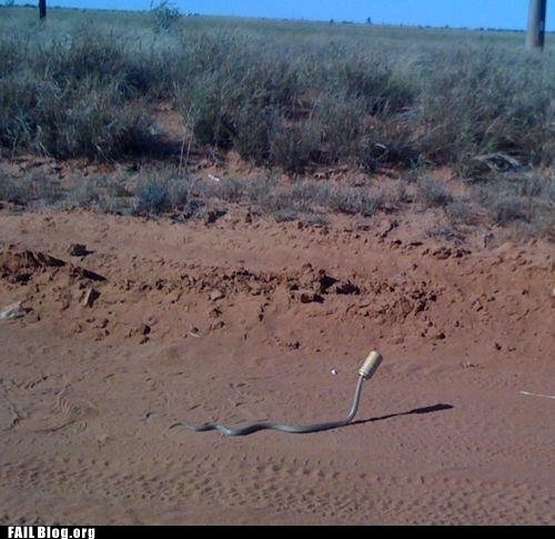 SinceraMinto: PICSOME WEEKEND 222