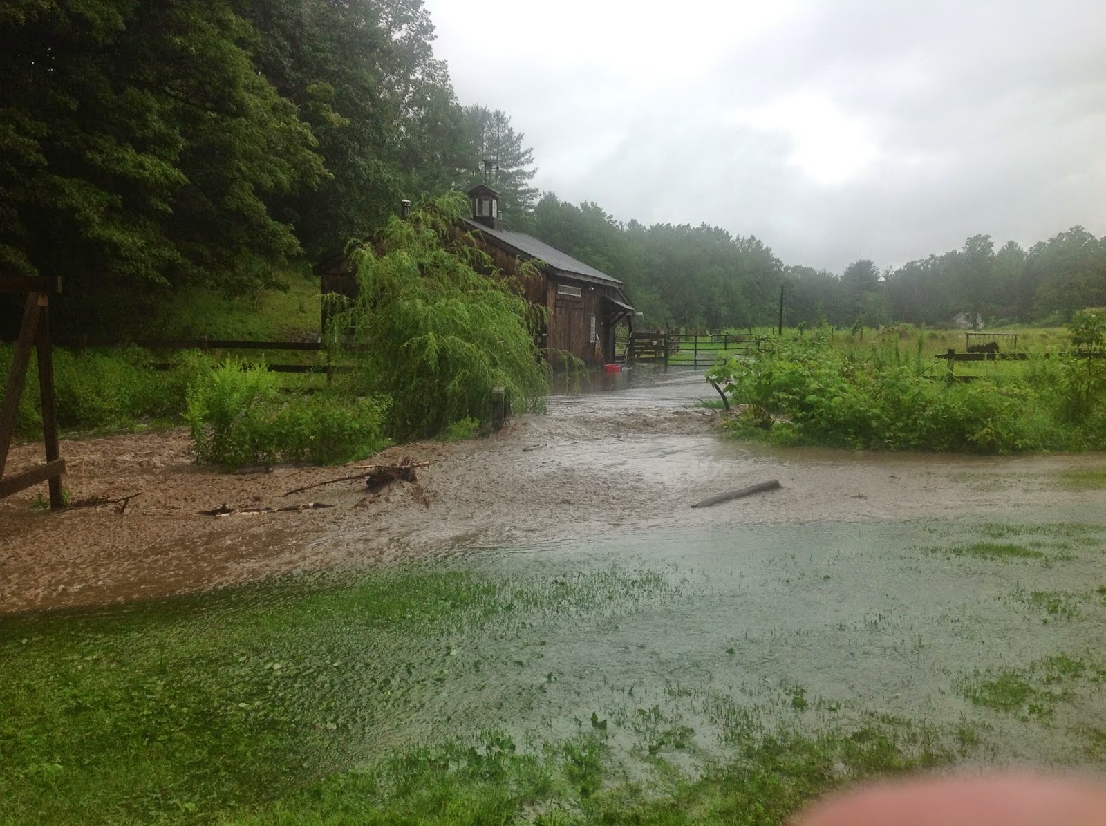 Katie's Farm: Flood Worries on the Farm