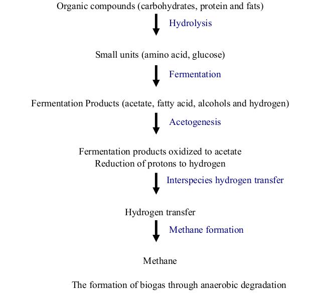 Anaerobic digestion process Basics ~ Biogas Plant (Anaerobic Digester) Blog