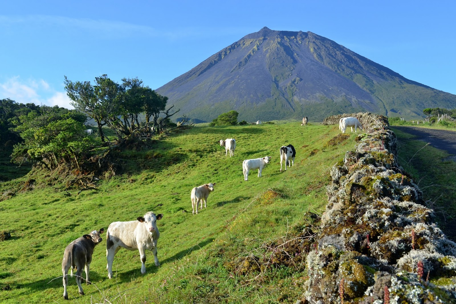 Azores. Subida ao Volcán Pico