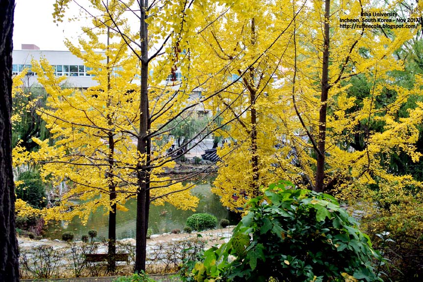 travel tales: South Korea: Incheon: Inha University