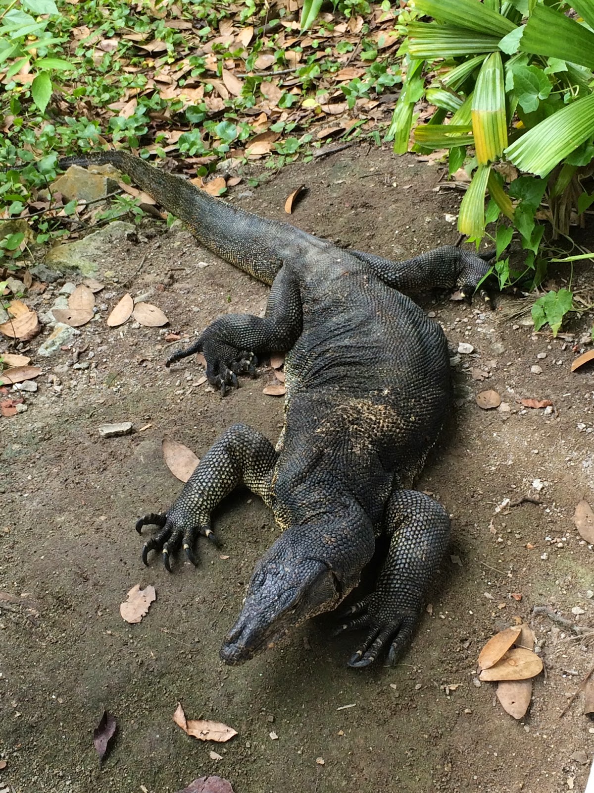 Sungei Buloh Wetland Reserve