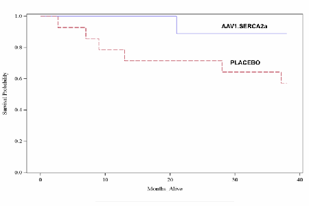 31 months of Gene Therapy Benefits Advanced Heart Failure Patients ...