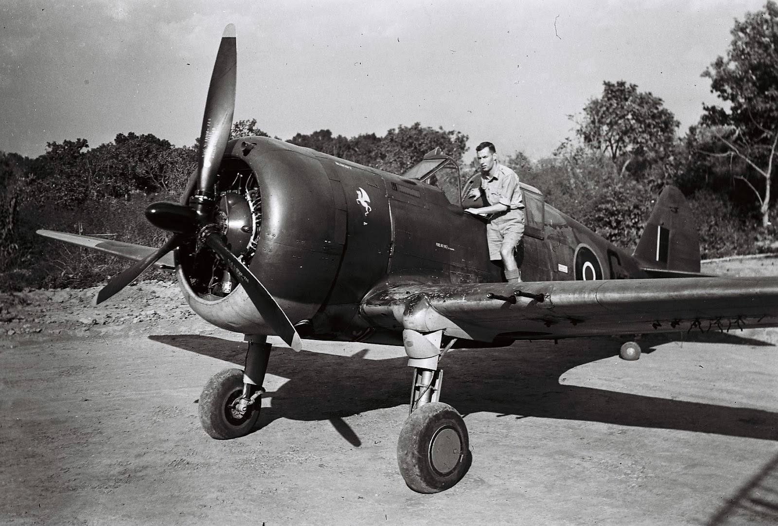 AVIÕES MILITARES: Curtiss P-36 Hawk (Mohawk)