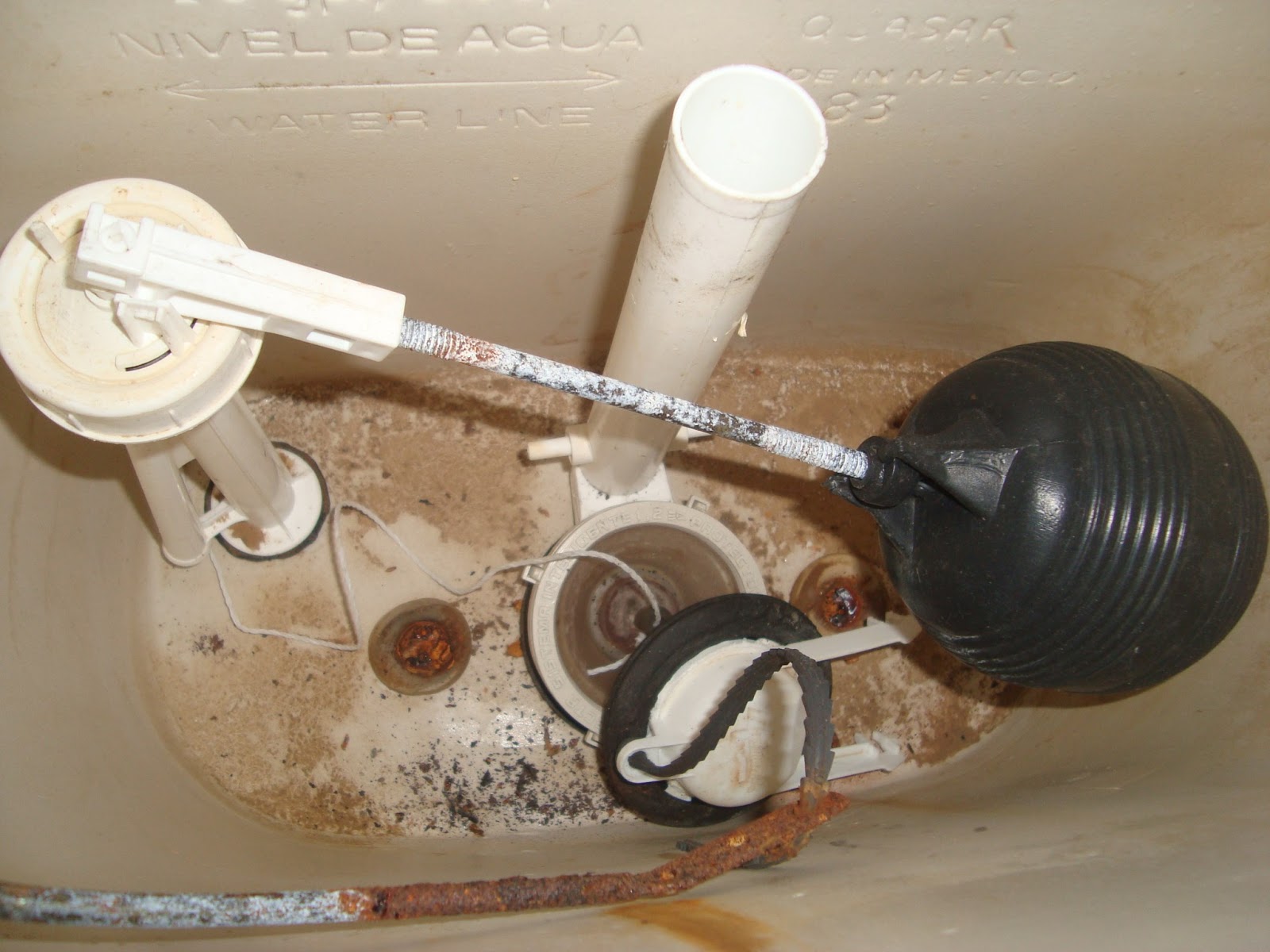 ¡Vive! ¡Disfruta! ¡Comparte! por Gil El Conocedor: Operación Sapito