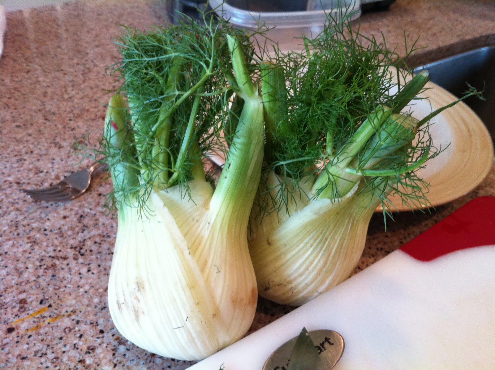 spoonraider: White Fish in Tomato Fennel Broth
