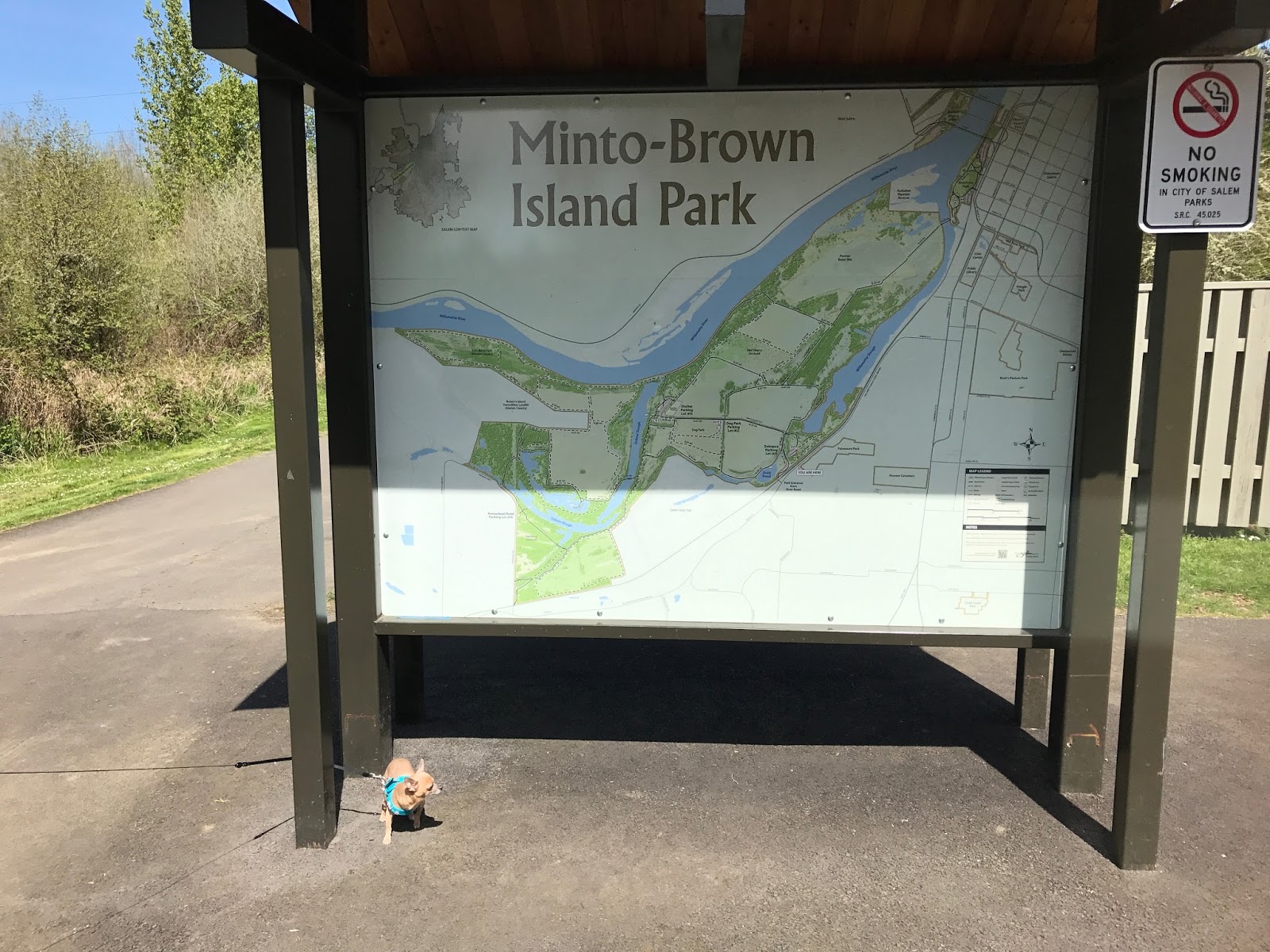 Tacoma2012: Minto-Brown Island Park