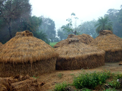 ANICCASIGHT: Sujata Village - Bodhgaya