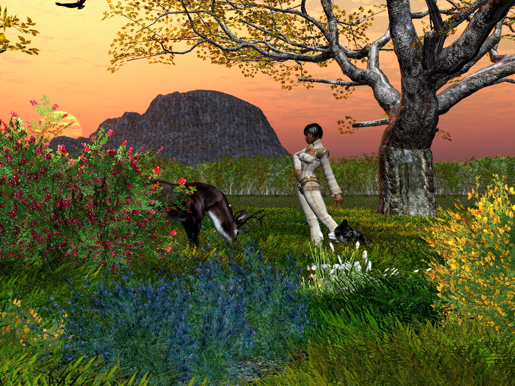 Desktop Nature wallpaper: Beautiful Digital Nature Photography ...