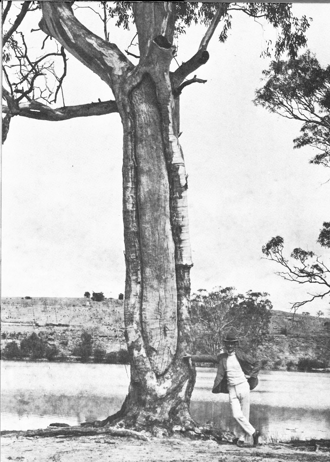 Indigenous Boats: Bark Canoes of Australia's Murray River