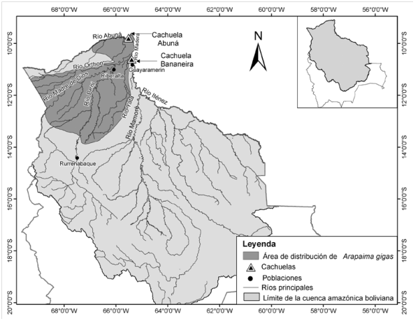 ALEVINOS - RACION - PROYECTOS - SERVICIOS: ORIGEN DEL PAICHE (Arapaima ...