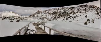 Nicole's Digital Photo Blog: Types of Perspective in Photography