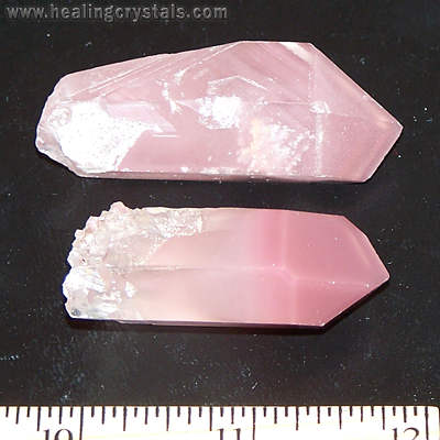 Terra Forming Terra: Lithium Prevents Parkinson's Brain Damage