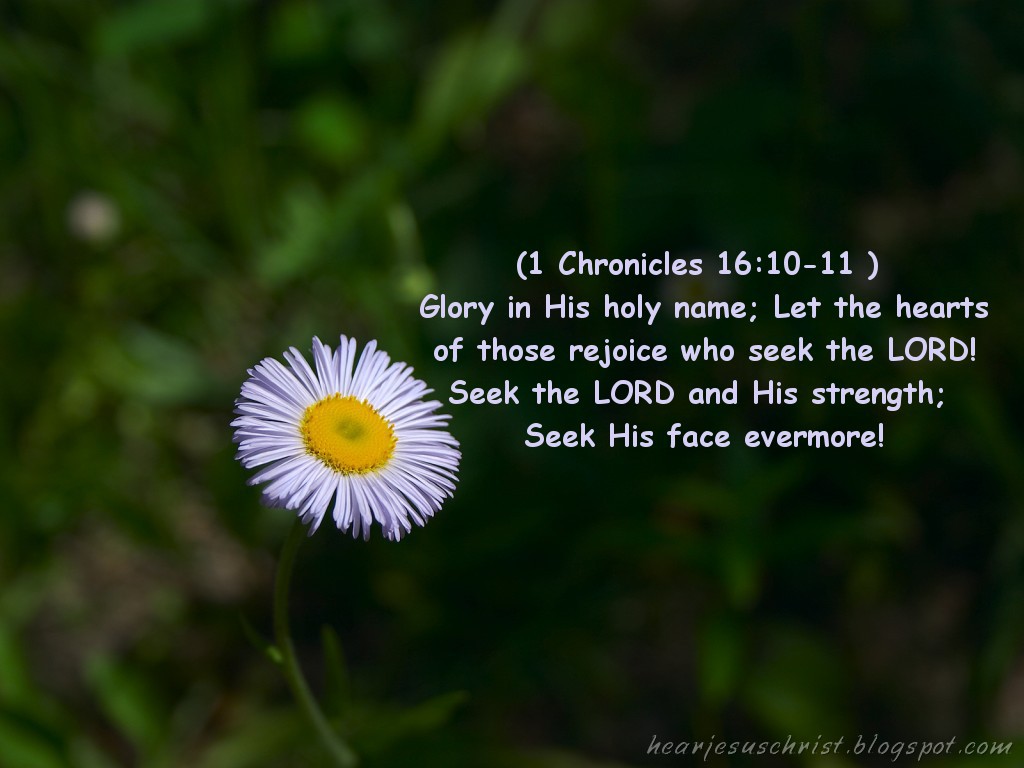 Christian Wallpapers: Bible Verse Wallpaper - 1 Chronicles 16:10-11